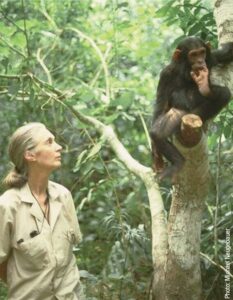 Jane Goodall - WINGS Women of Discovery